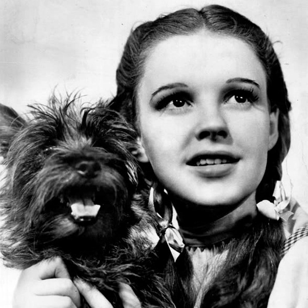 Judy Garland - CMG Worldwide