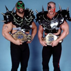 Road Warrior Hawk - CMG Worldwide